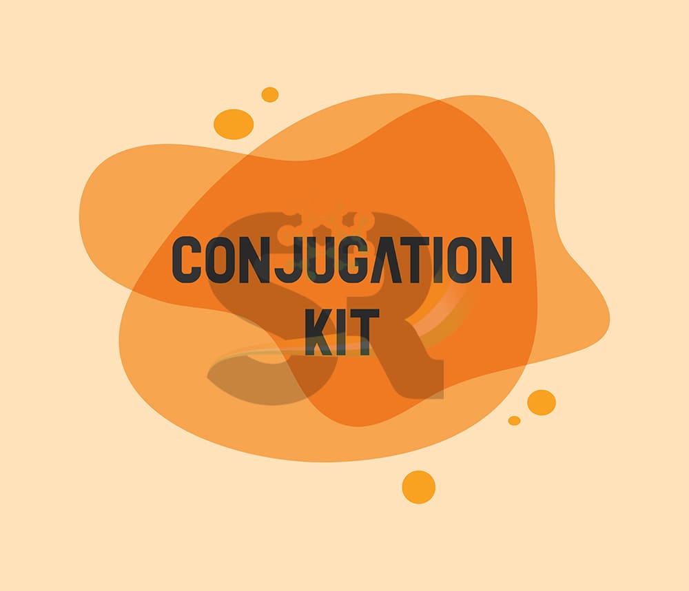 Conjugation Kit - SR Bioera